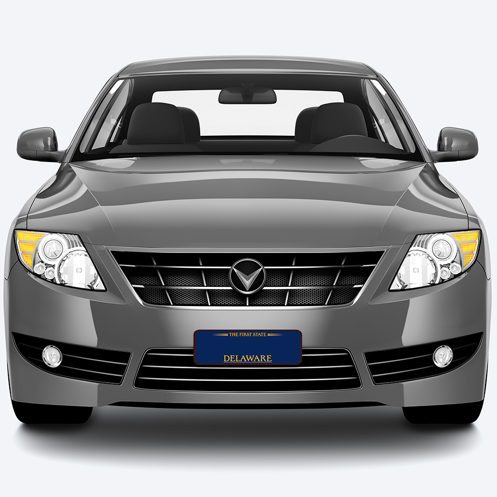Get Your Own Delaware License Plate Vector Design